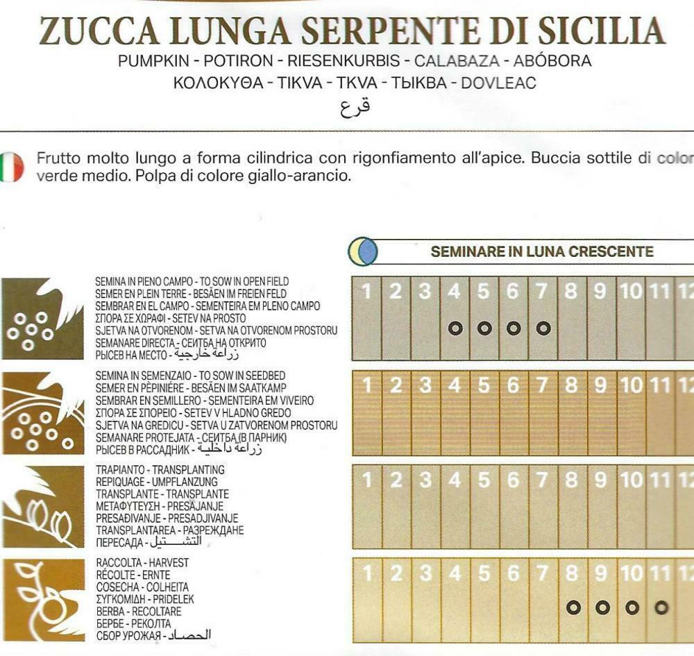 Gourd - Lunga Serpente Di Sicilia (Pictorial Packet) - Premier Seeds Direct