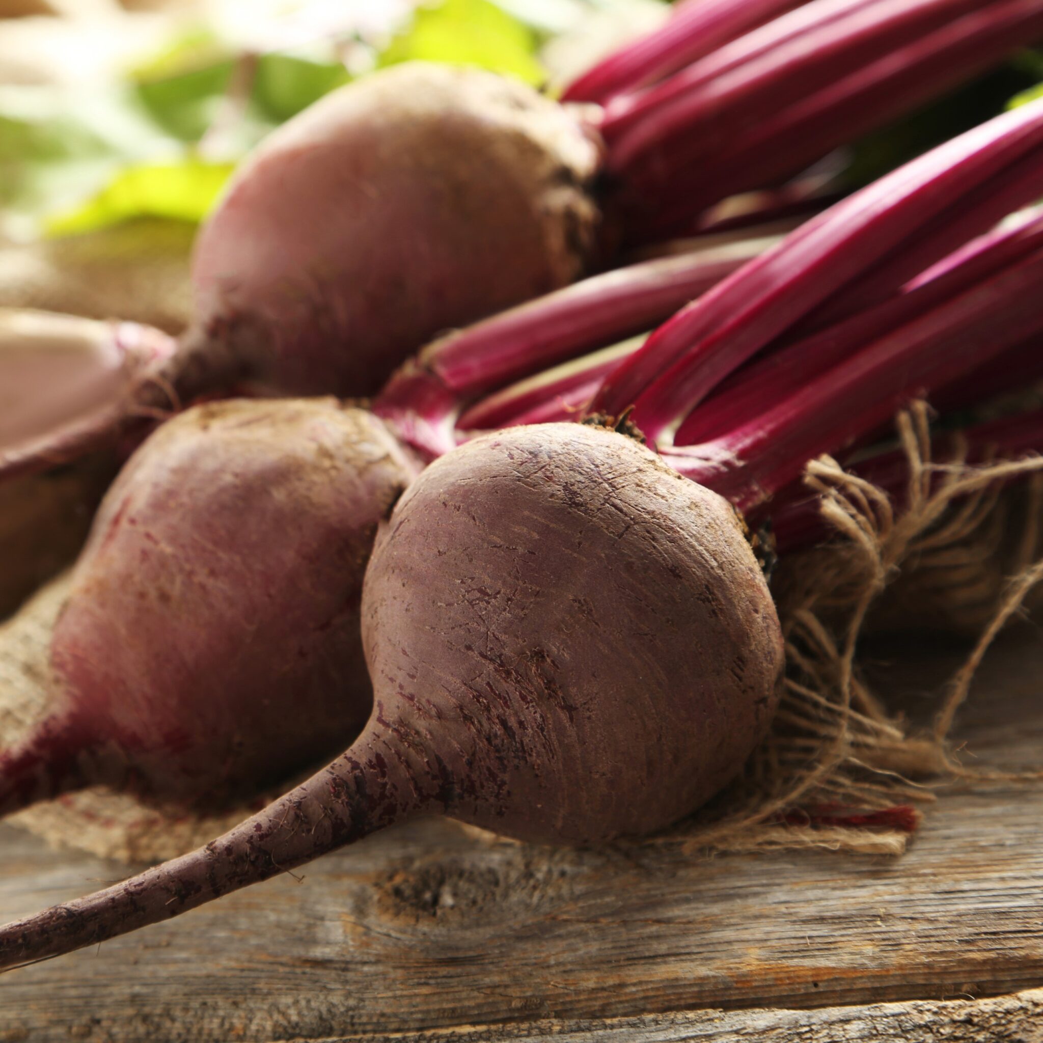 Beetroot Seeds - Shop Tasty & Colourful Varieties