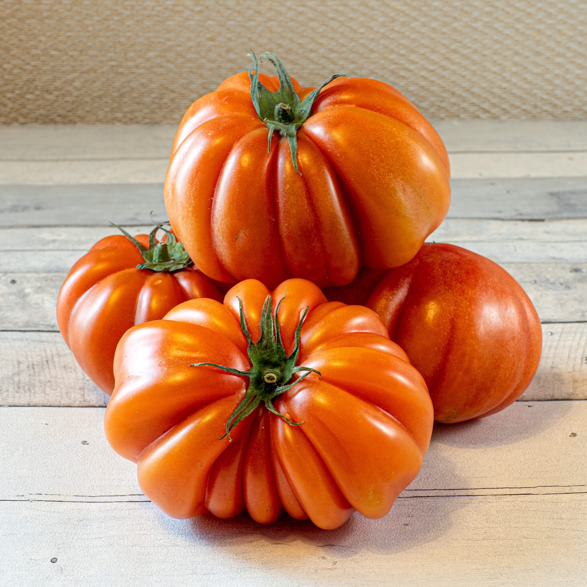 Vegetable Italian Tomato Costoluto Fiorentino | Tomato