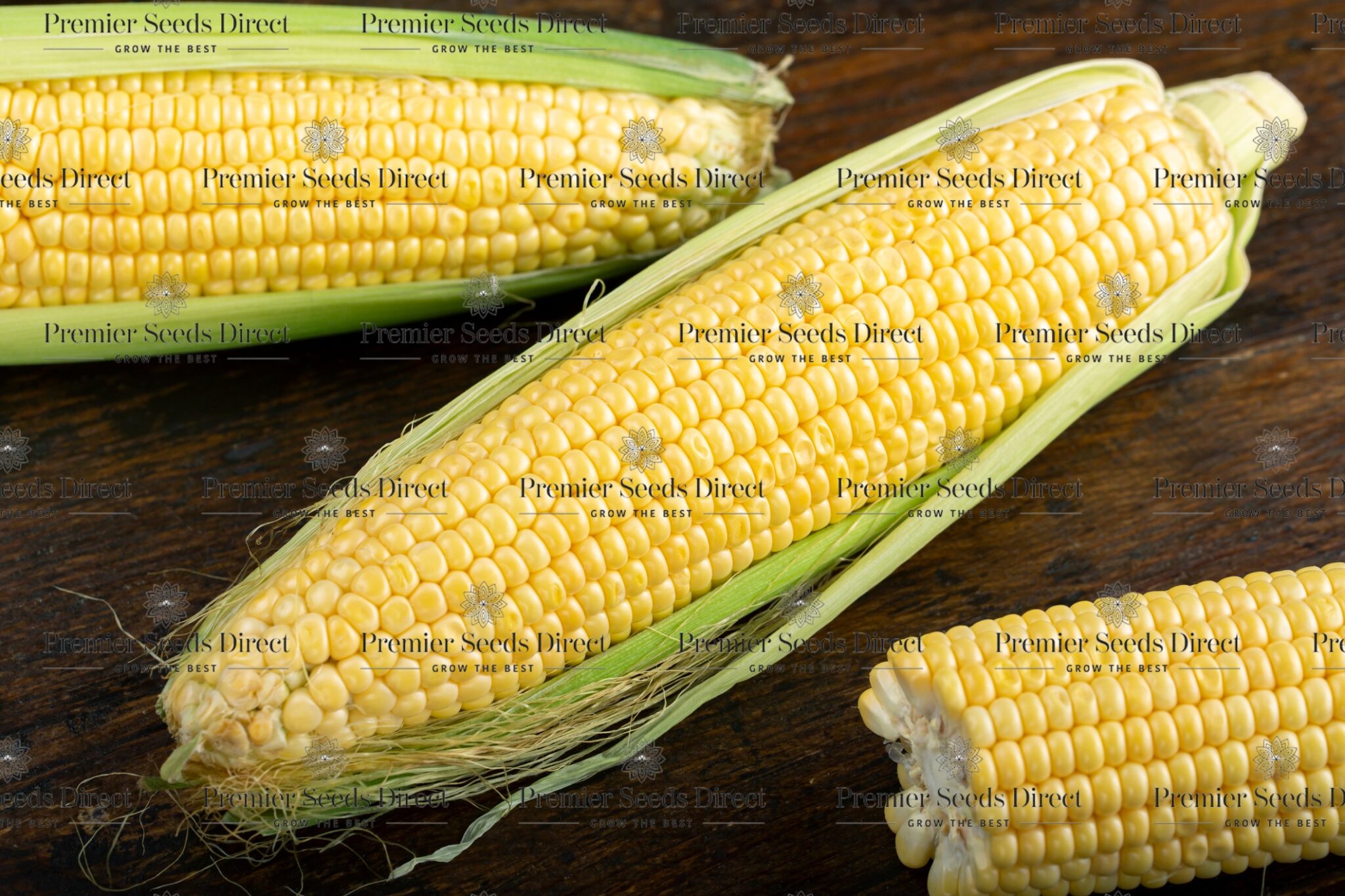 Sweetcorn Early Extra Sweet Northen | Sweet Corn