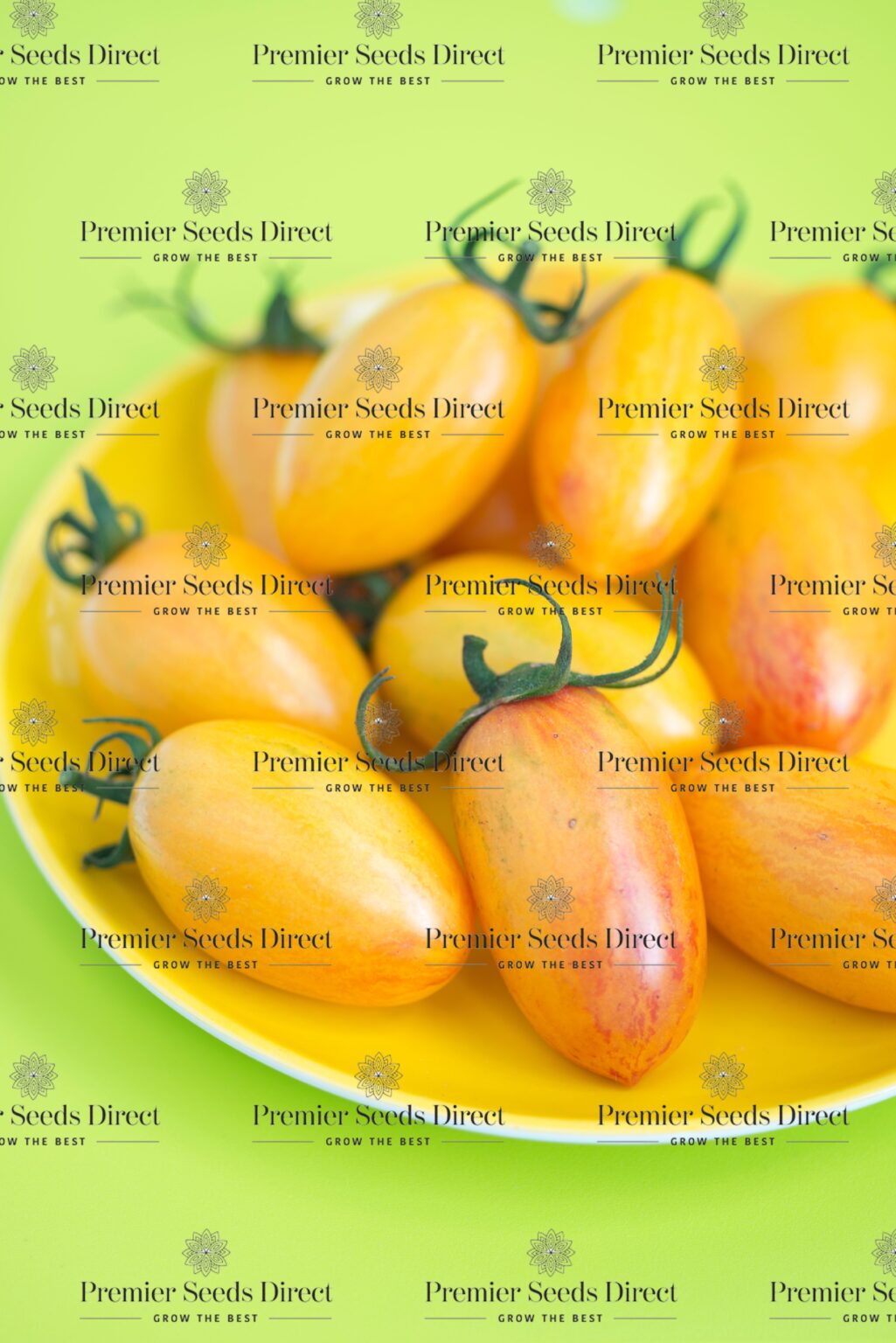 Tomato Cherry Artisan Blush Tiger | Tomato | Premier Seeds Direct ltd