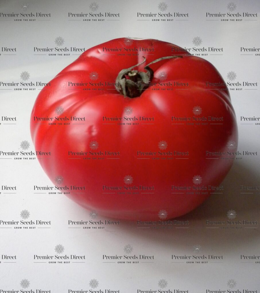 Tomato Delicious | Tomato | Premier Seeds Direct ltd