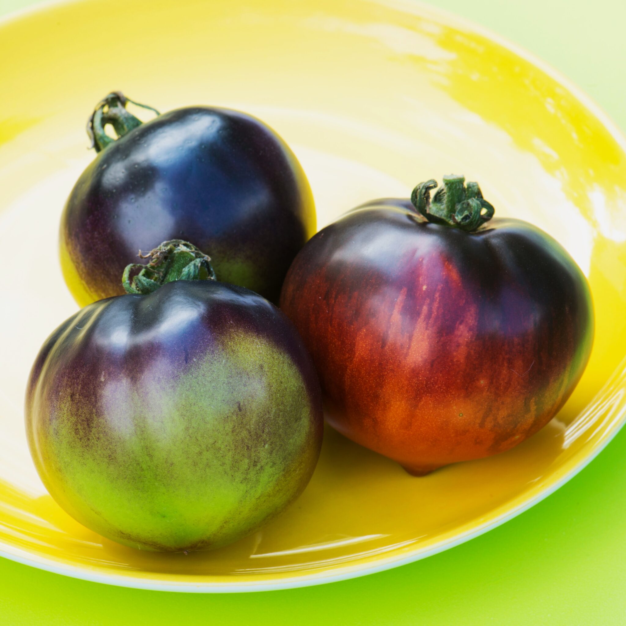 Tomato Indigo Apple | Tomato | Premier Seeds Direct ltd