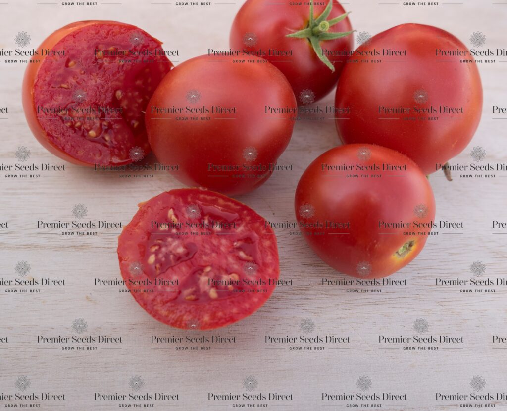 Tomato Moskvich | Tomato | Premier Seeds Direct ltd