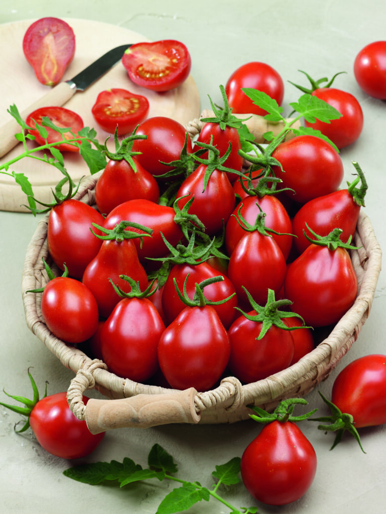 Tomato Red Pear Cherry Bell | Tomato | Premier Seeds Direct ltd
