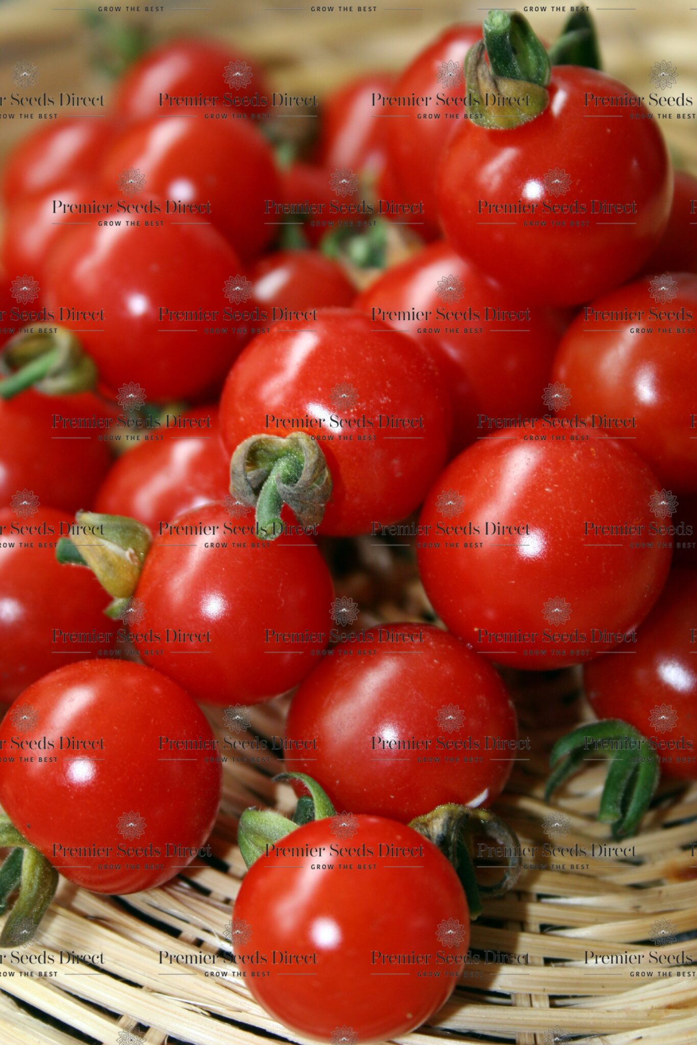 Tomato Cherry Sweet Aperitif | Tomato | Premier Seeds Direct ltd