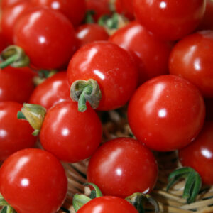Tomato Cherry Sweet Aperitif | Tomato | Premier Seeds Direct ltd