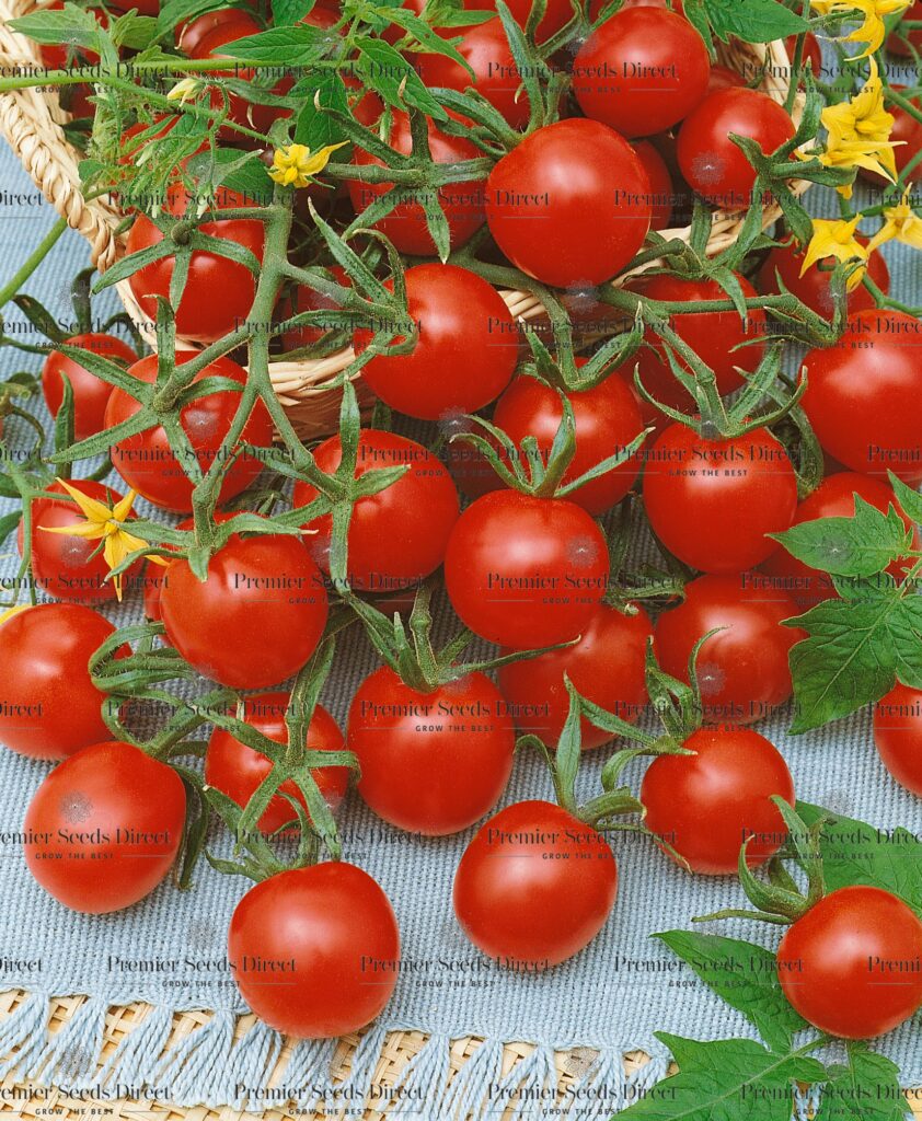 Tomato Cherry Sweetie | Tomato | Premier Seeds Direct ltd