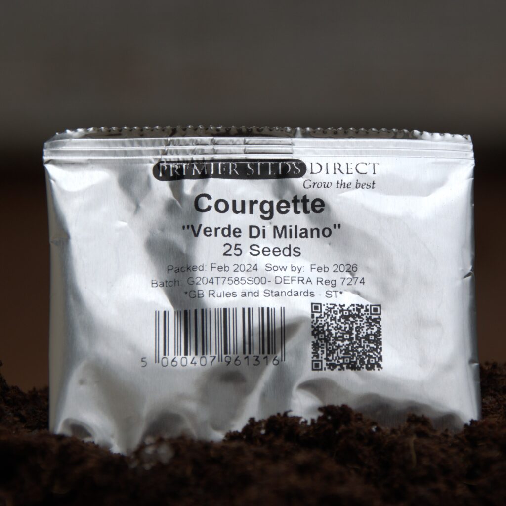 Italian Courgette Verde Di Milano | Courgette