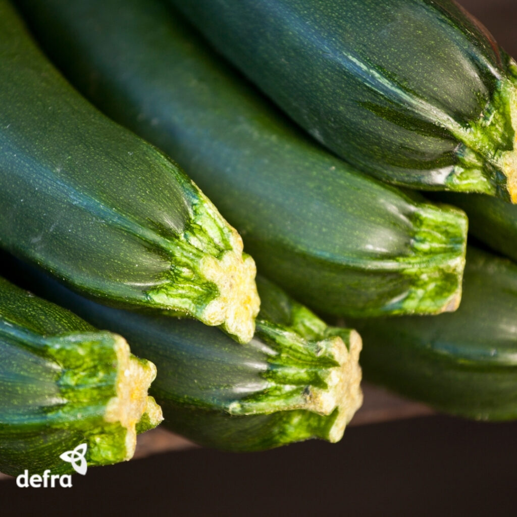 Courgette Seeds - Premier Seeds Direct