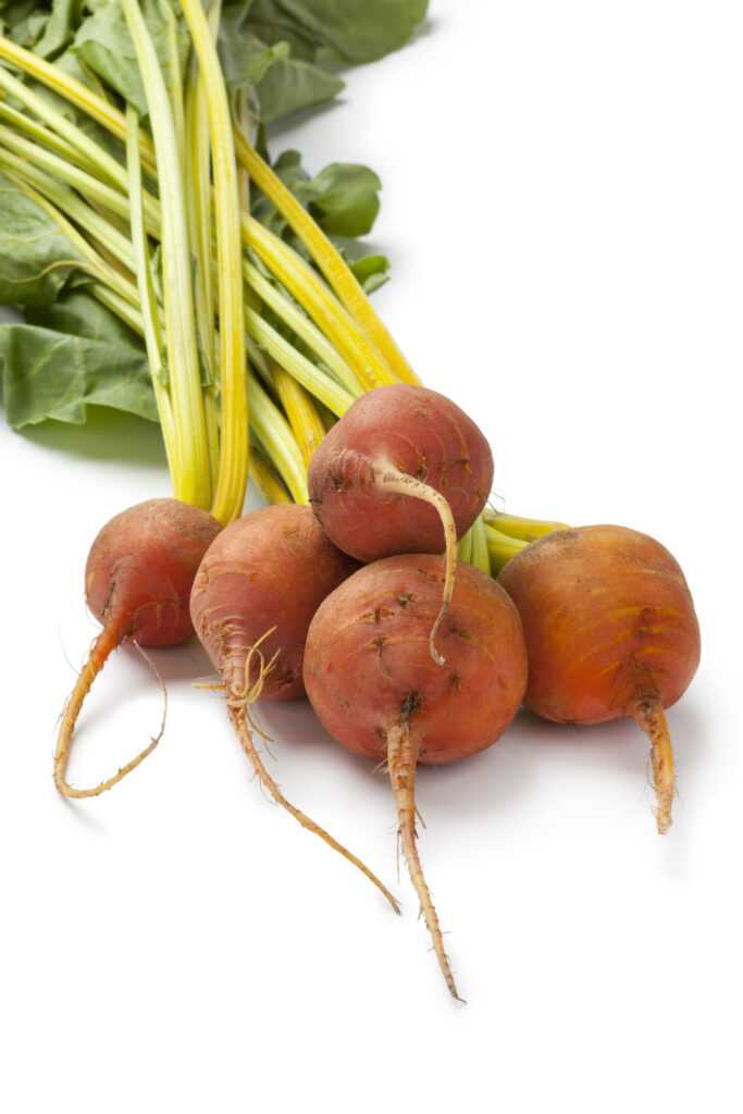 VEGETABLE GOLDEN BEETROOT BOLDOR F1 | Beetroot | Premier Seeds Direct ltd