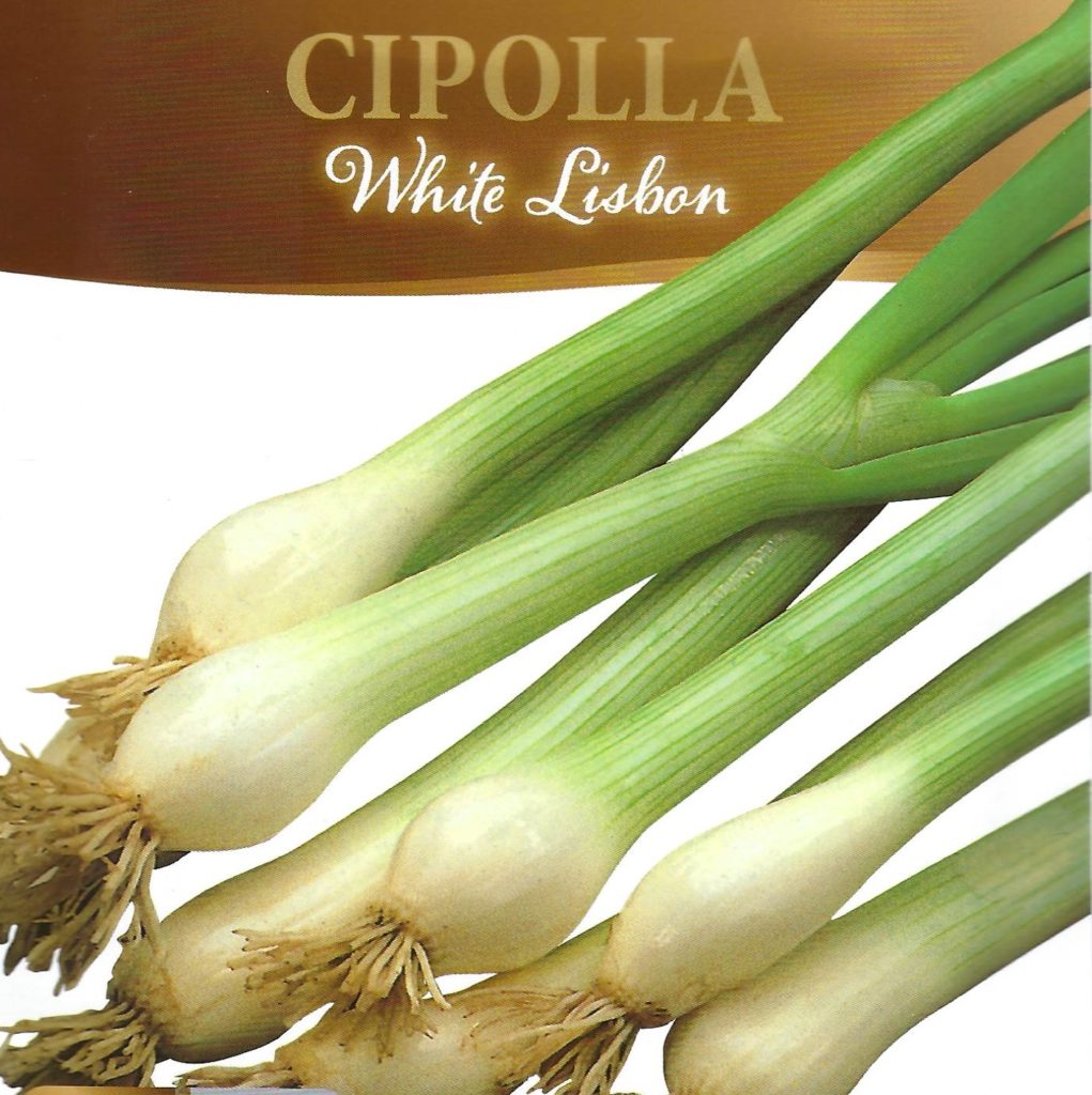 Gourd - Lunga Serpente Di Sicilia (Pictorial Packet) - Premier Seeds Direct