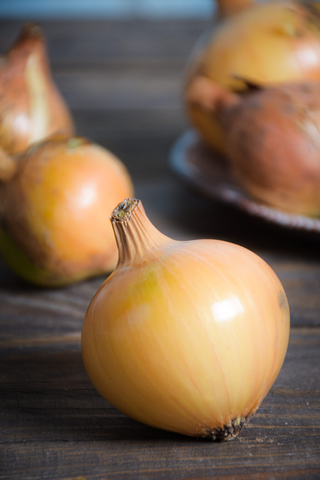 VEGETABLE ONION STURON | Onion | Premier Seeds Direct ltd