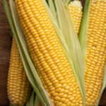 SWEET CORN SWEETCORN INCREDIBLE F1 / Sweetcorn / PremierSeedsDirect
