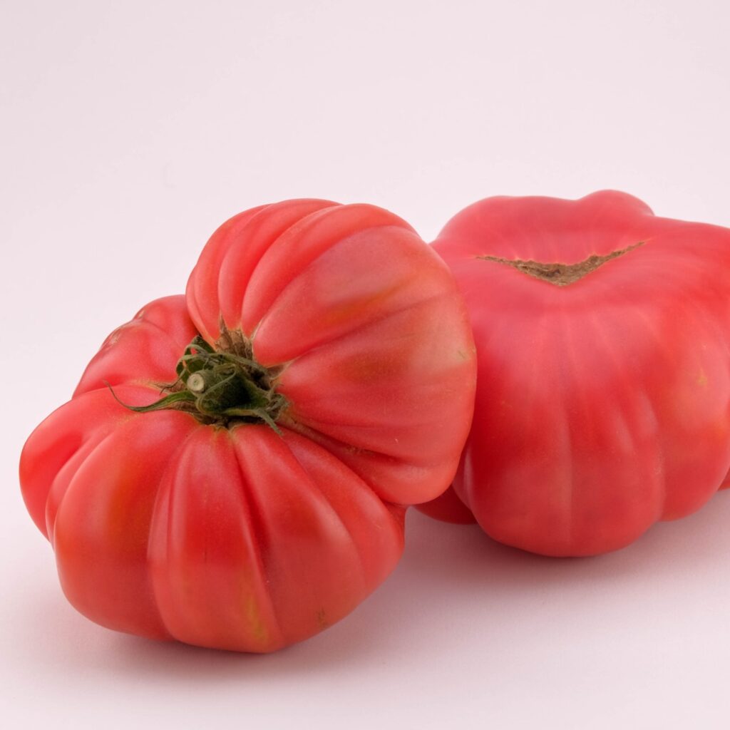 Tomato Seeds - Premier Seeds Direct