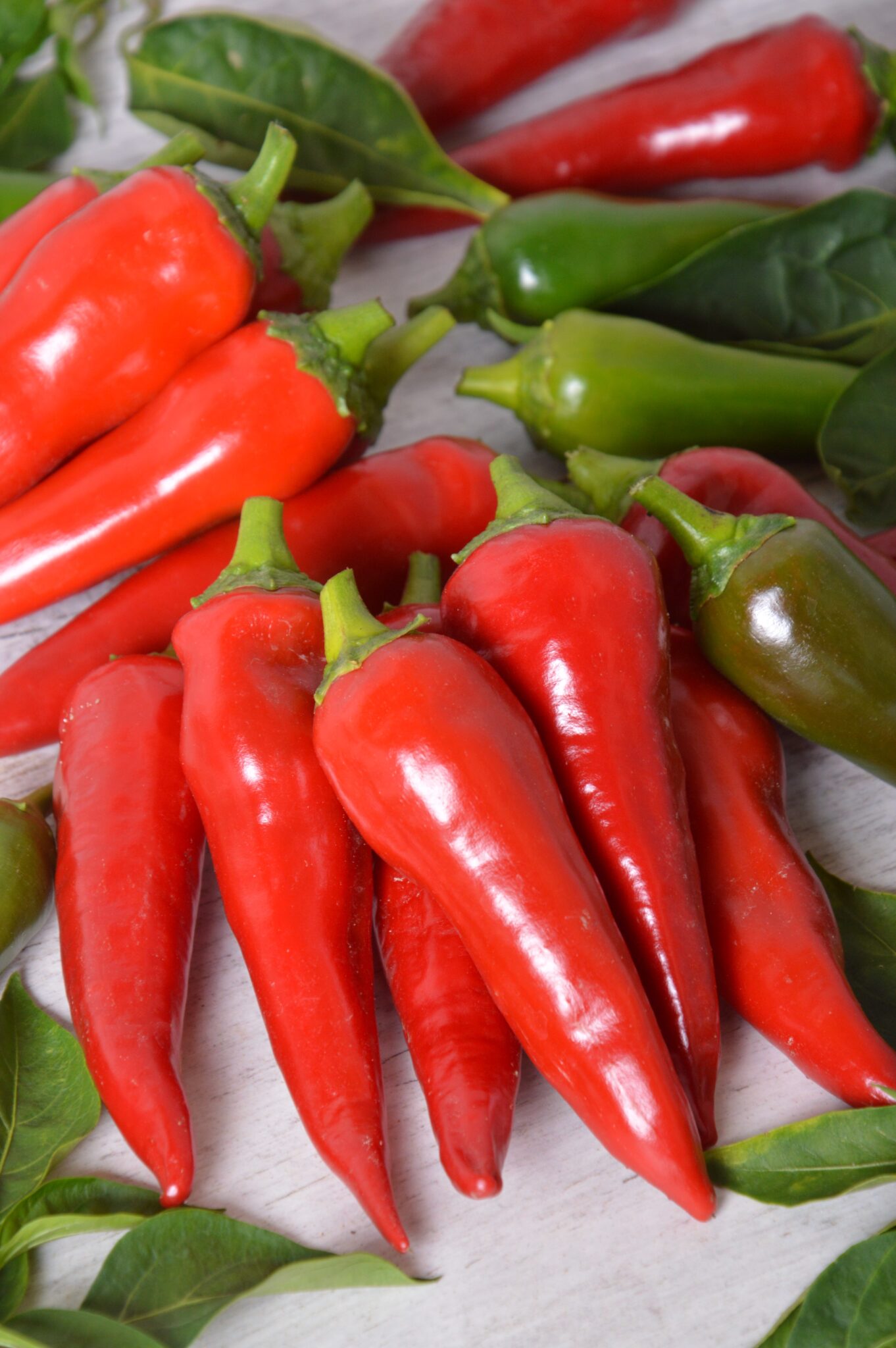 HOT CHILLI PEPPER CYKLON - Premier Seeds Direct