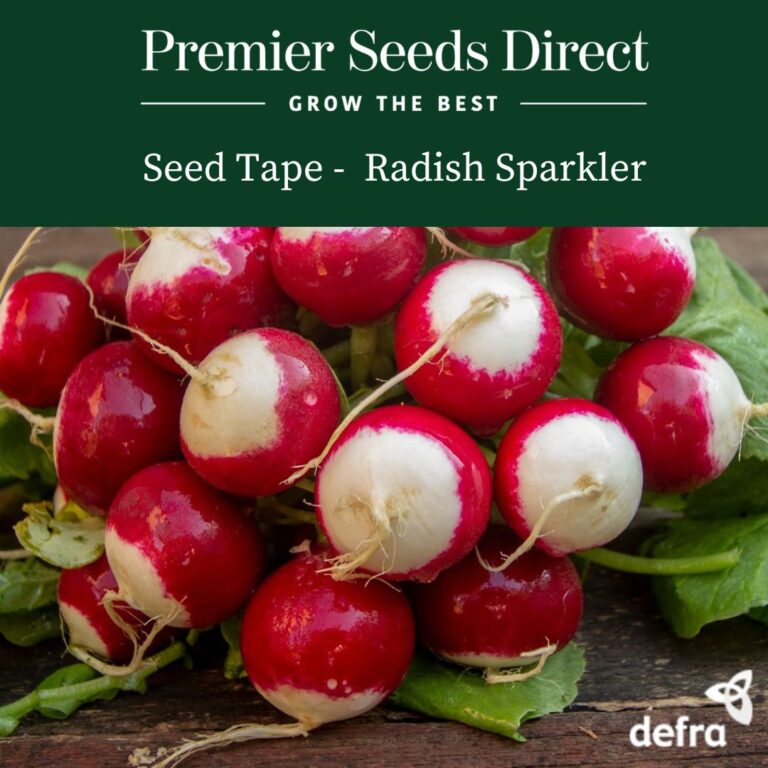 Seed Tape Archives - Premier Seeds Direct