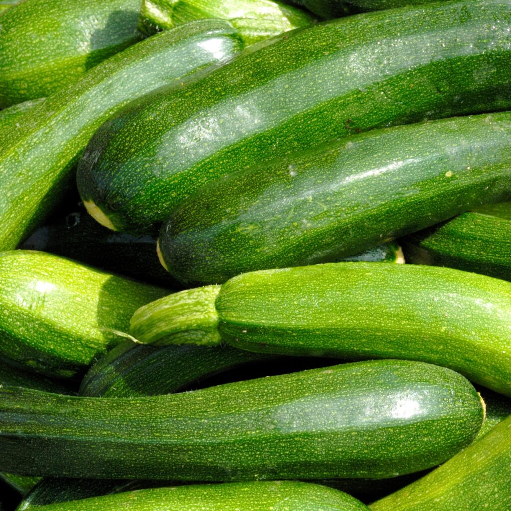 Courgette Seeds - Premier Seeds Direct