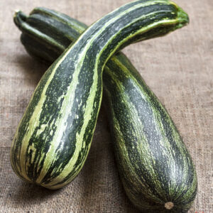 Marrow Seeds - Premier Seeds Direct