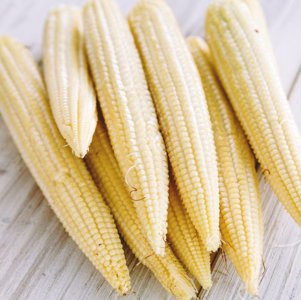 Sweetcorn Seeds - Premier Seeds Direct