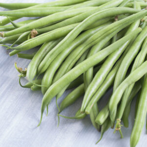 Climbing French Bean - Cobra - Premier Seeds Direct