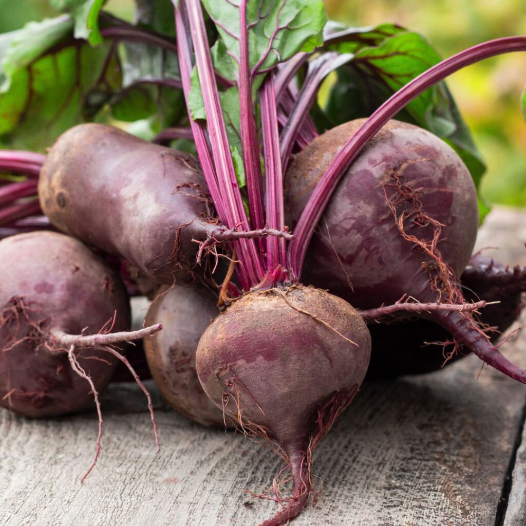 Browse Our Full Vegetable Range - Premier Seeds Direct