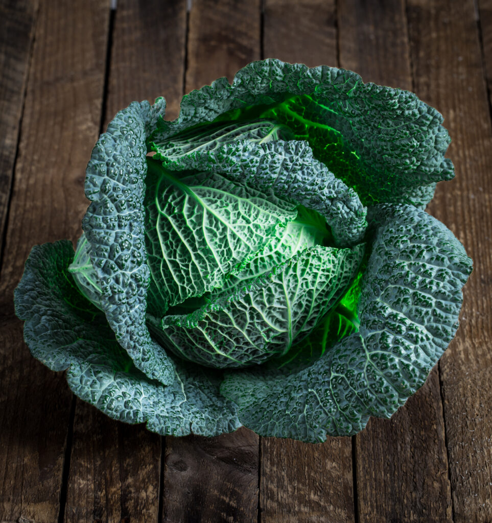 Cabbage Cordesa F1 - Premier Seeds Direct