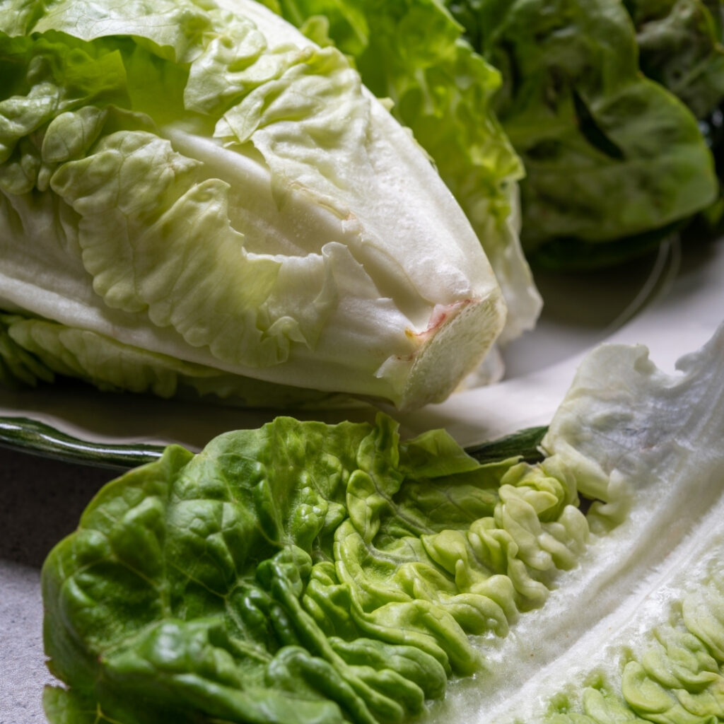 Lettuce Seeds - Premier Seeds Direct