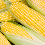 Sweetcorn Seeds - Premier Seeds Direct