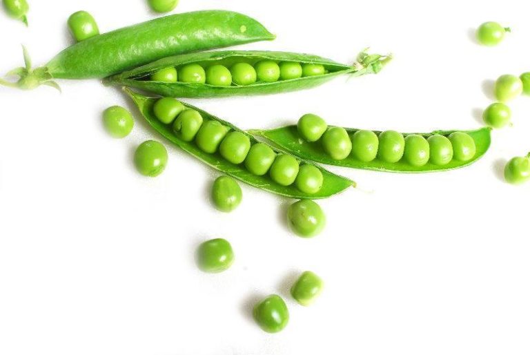 Pea Petit Pois Waverex - Premier Seeds Direct