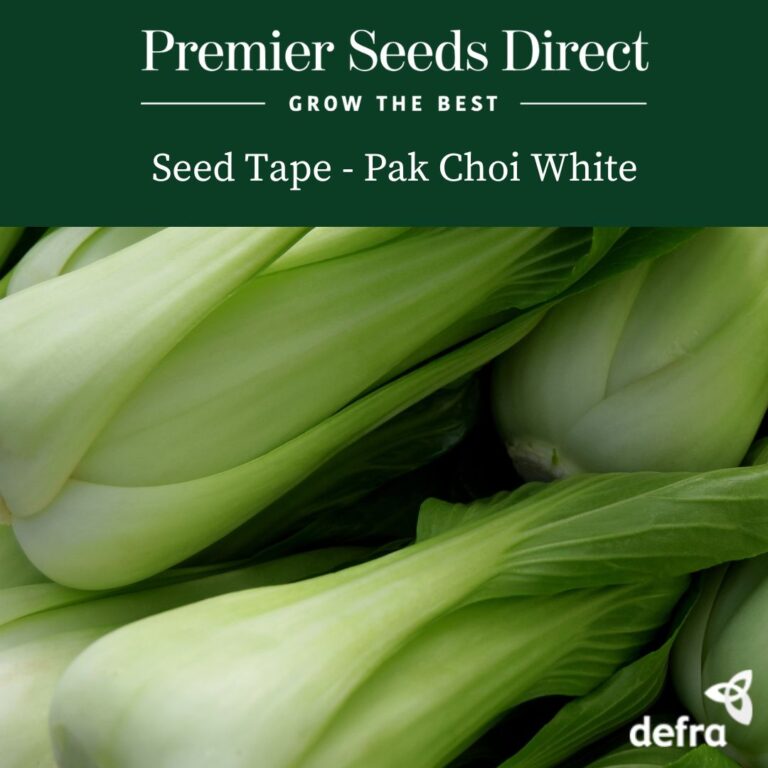 Seed Tape Archives - Premier Seeds Direct