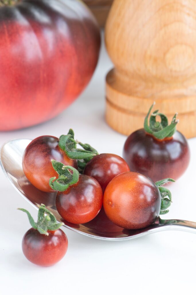 Tomato - Cherry Indigo Blue Berries - Premier Seeds Direct
