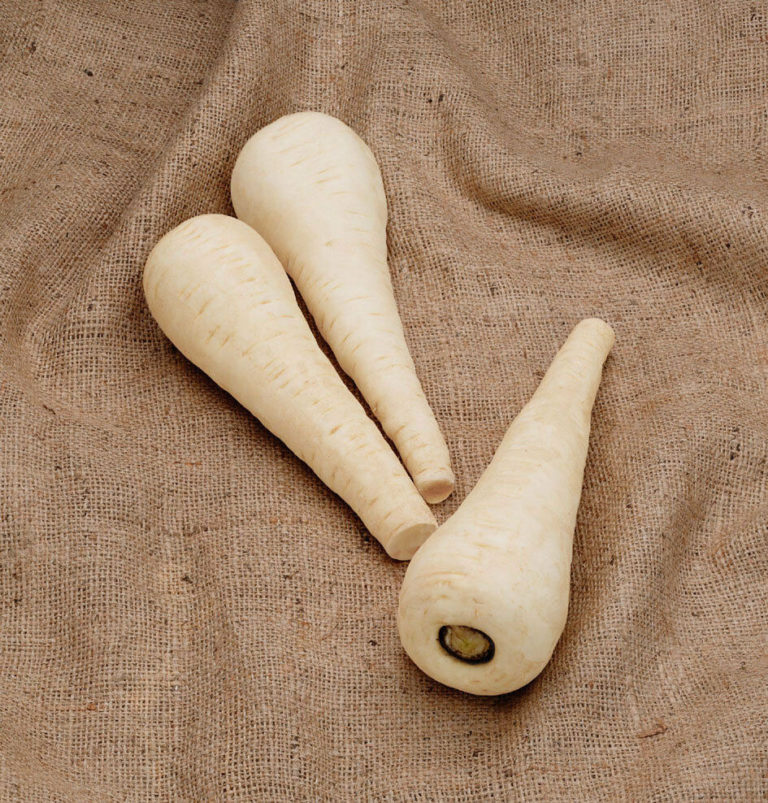 Parsnip Gladiator F1 Premier Seeds Direct
