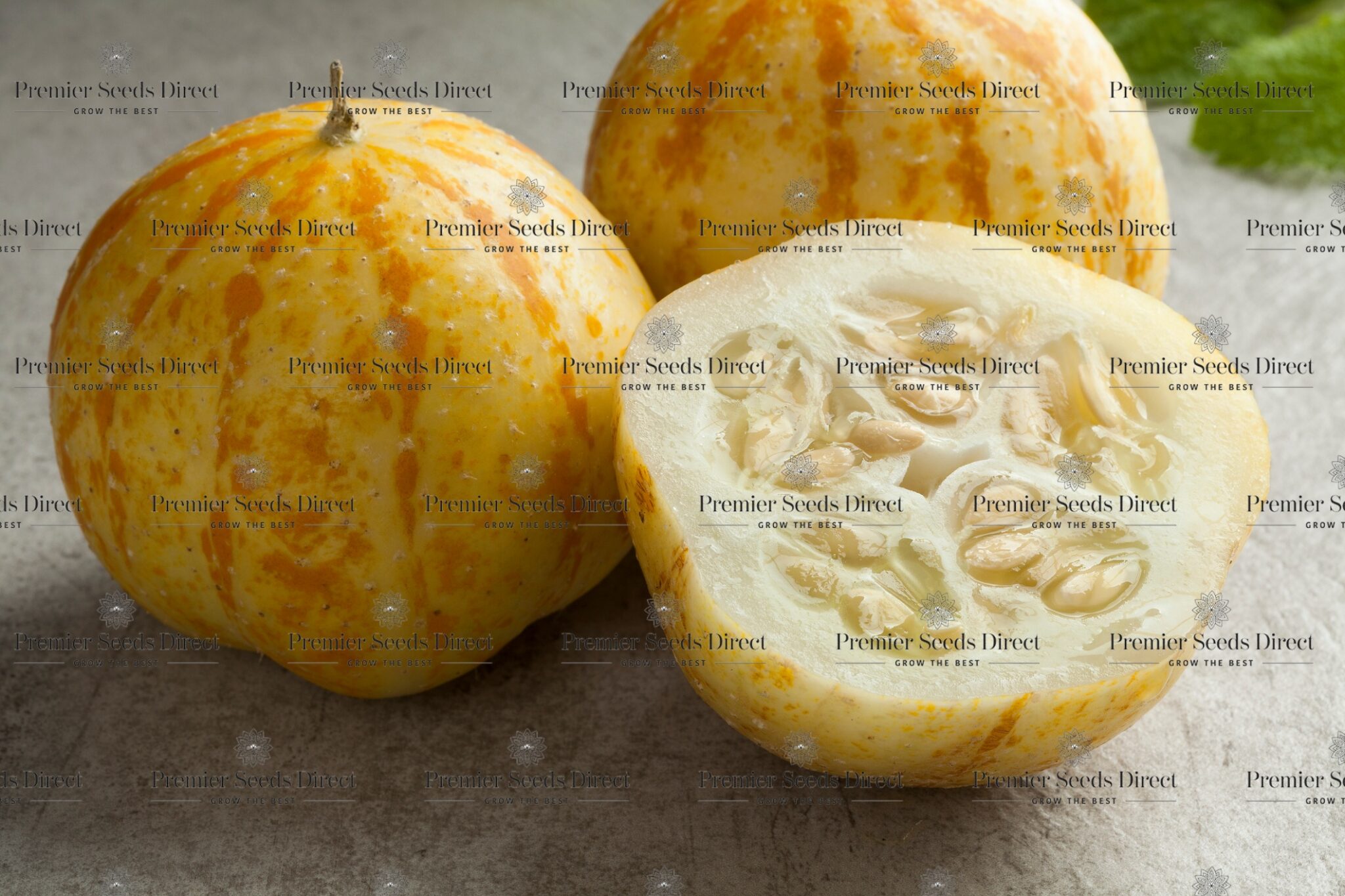 Cucumber Crystal Lemon - Premier Seeds Direct