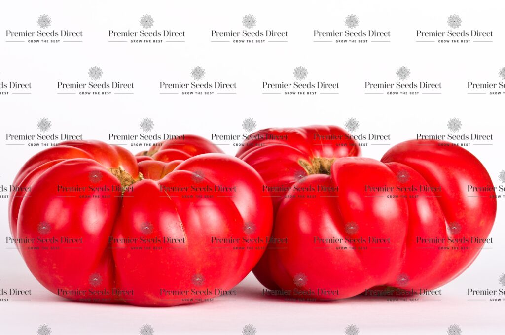Tomato - Brandywine Red - Premier Seeds Direct