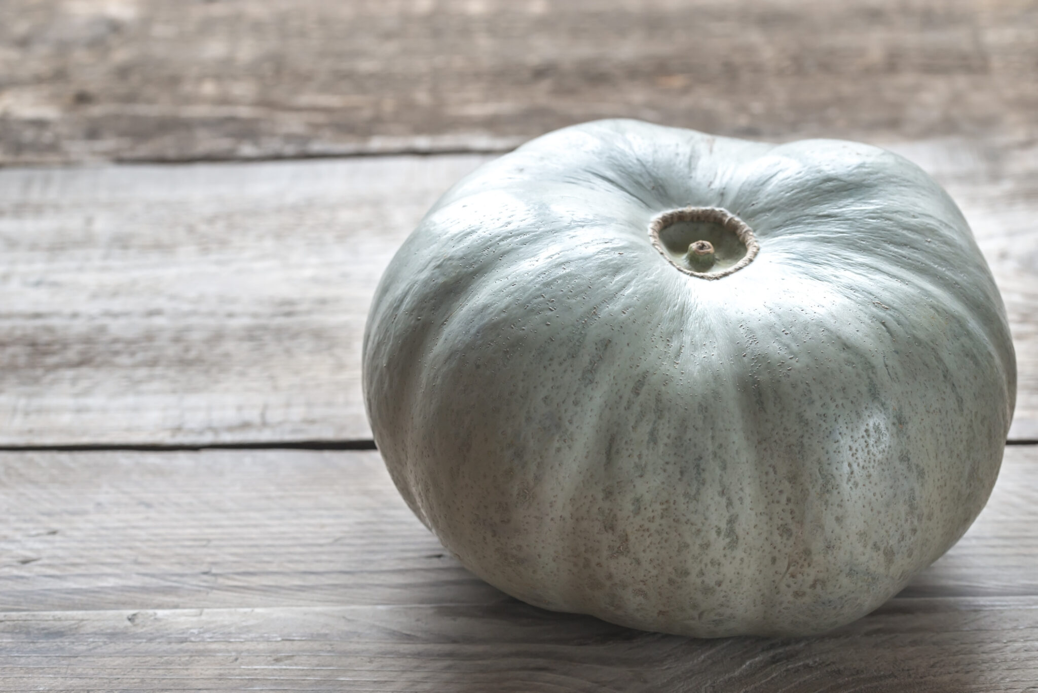 Squash Crown Prince F1 - Premier Seeds Direct