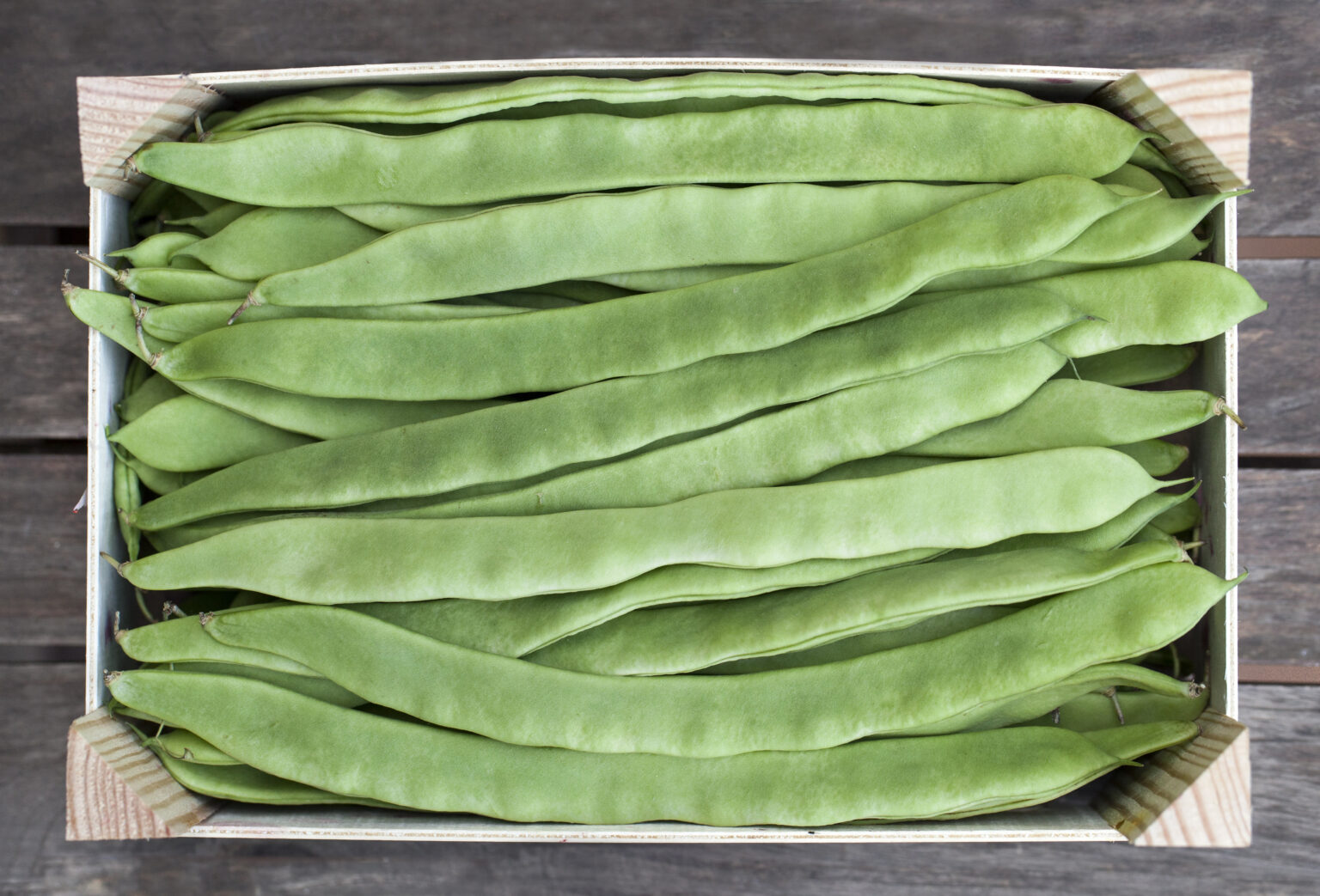 Climbing Bean Helda - Premier Seeds Direct