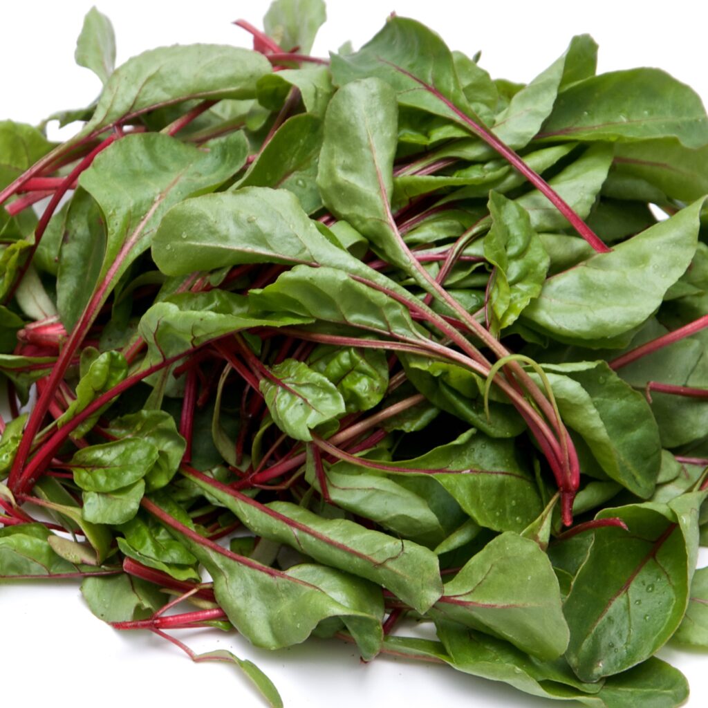 Swiss Chard Seeds - Premier Seeds Direct