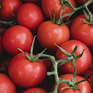 Tomato Sparta F1 - Premier Seeds Direct