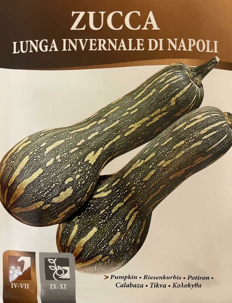 Squash - Lunga Invernale Di Napoli 4.5 GM ~ Approx 40 Seeds - Premier ...