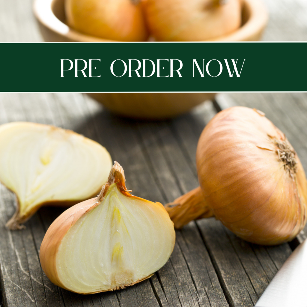 Shallots Sets Golden Gourmet (7-14mm) - Premier Seeds Direct