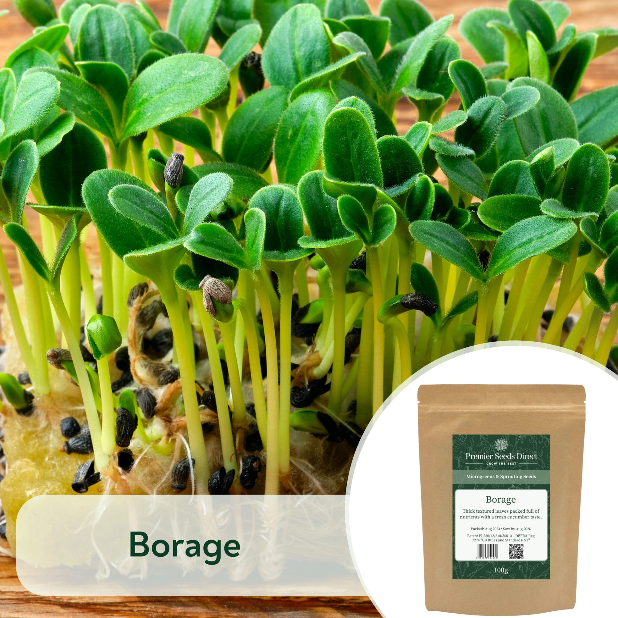Microgreens Seeds | Premier Seeds Direct