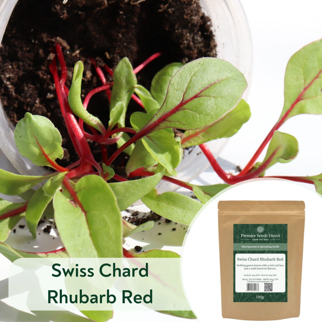 Swiss Chard Rhubarb Red - Microgreen/Sprouting - Premier Seeds Direct