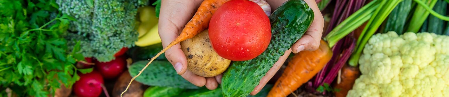 See our full vegetable range - Premier Seeds Direct