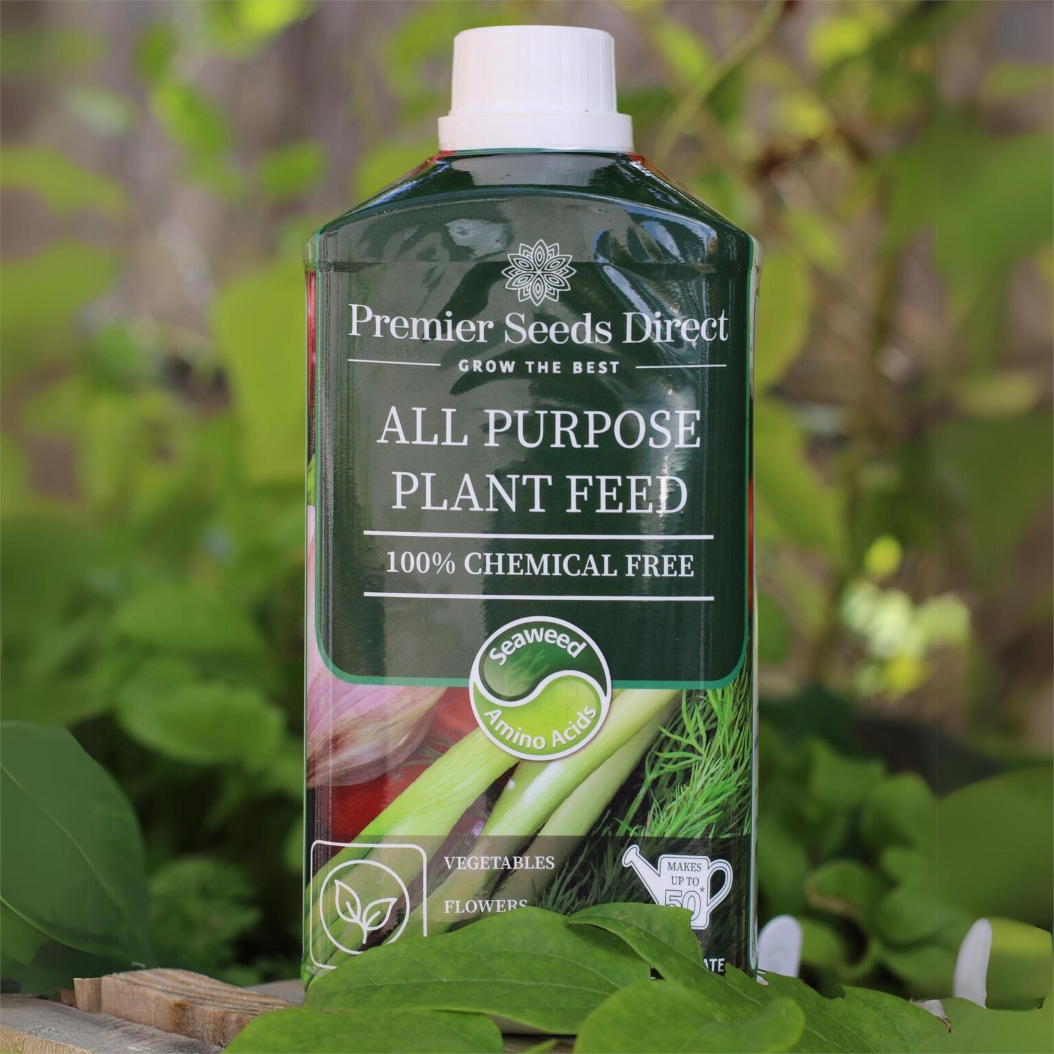 Tomato Seeds - Premier Seeds Direct