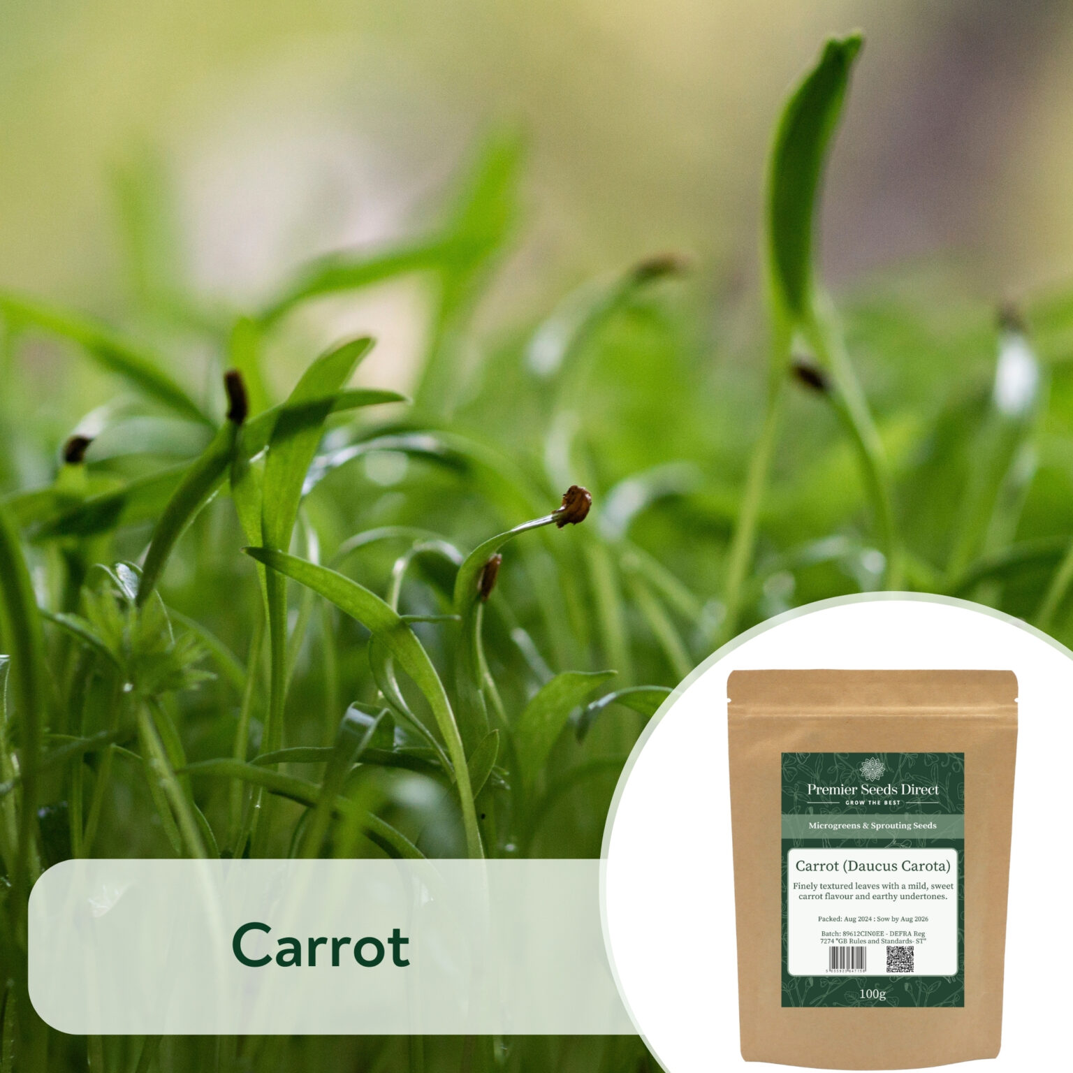 Microgreens - Vegetables - Premier Seeds Direct