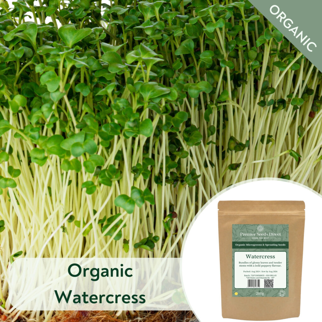 Organic Watercress Microgreen Sprouting Premier Seeds Direct Organic Watercress Microgreen Sprouting Premier Seeds Direct
