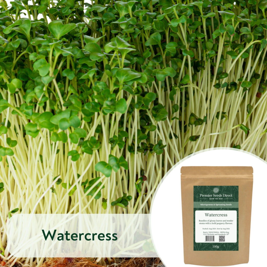 Watercress - Microgreen/Sprouting - Premier Seeds Direct
