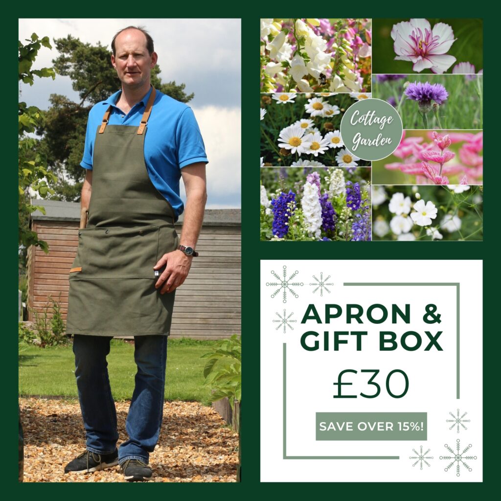 Xmas Apron and Gift Box Special - Premier Seeds Direct