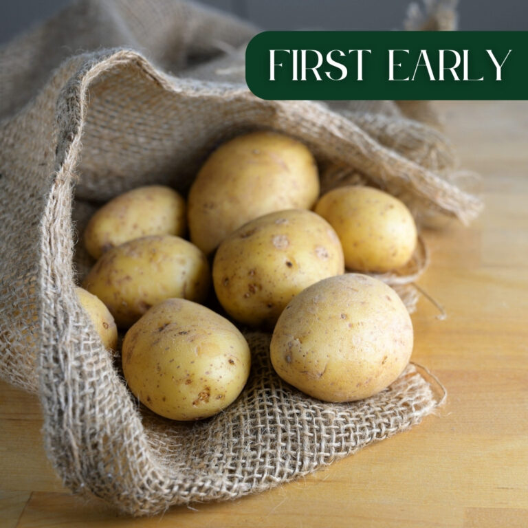 Seed Potatoes - Premier Seeds Direct